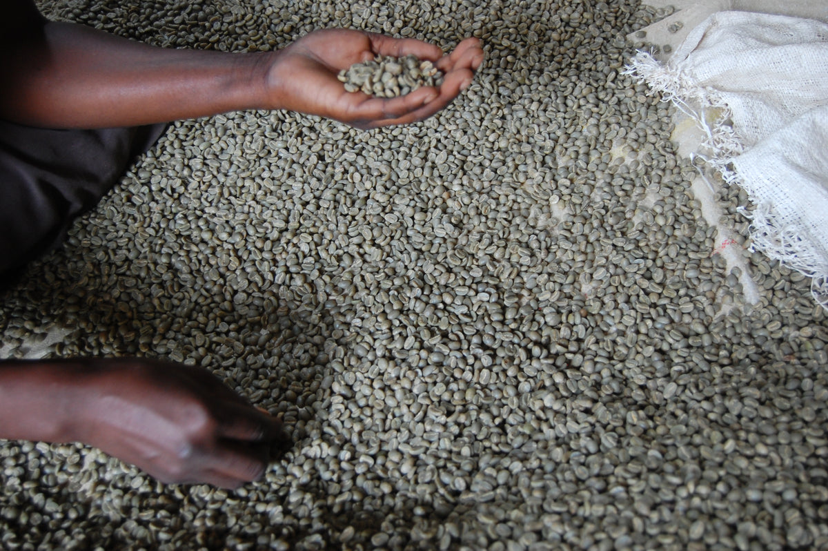 Rohkaffee, natural – Kaffee Mulembe